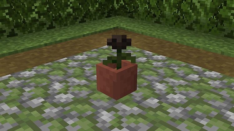 Comment obtenir une Rose de Wither dans Minecraft