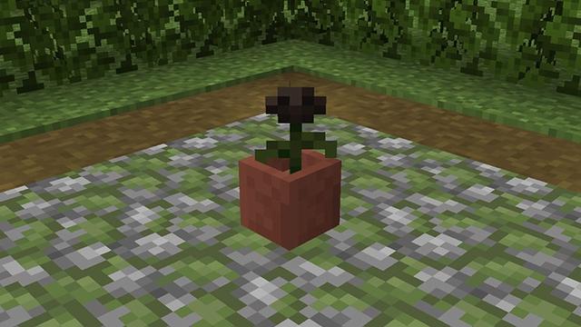 ¿Cómo conseguir una Rosa de Wither en Minecraft?