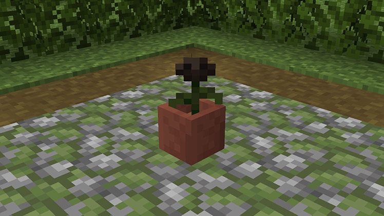 ¿Cómo conseguir una Rosa de Wither en Minecraft?
